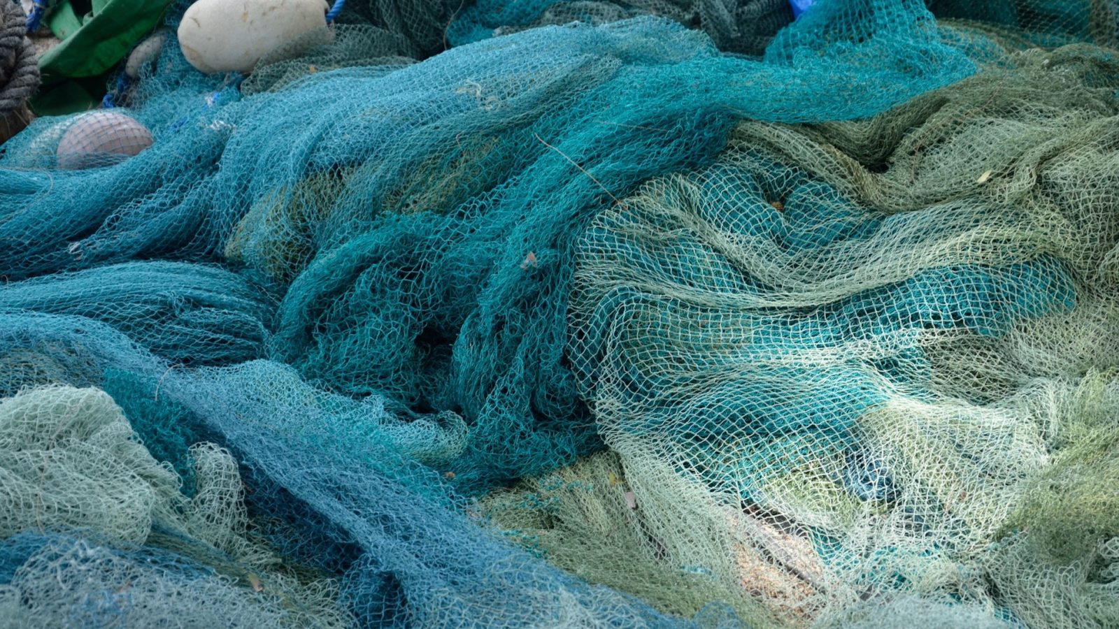 Alliance calls for improvements to Australia's seafood import standards ...